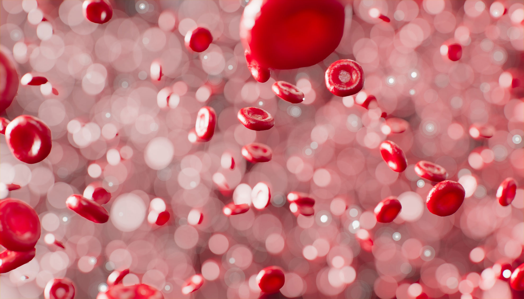 Haematology | Full Blood Count FBC Analyser